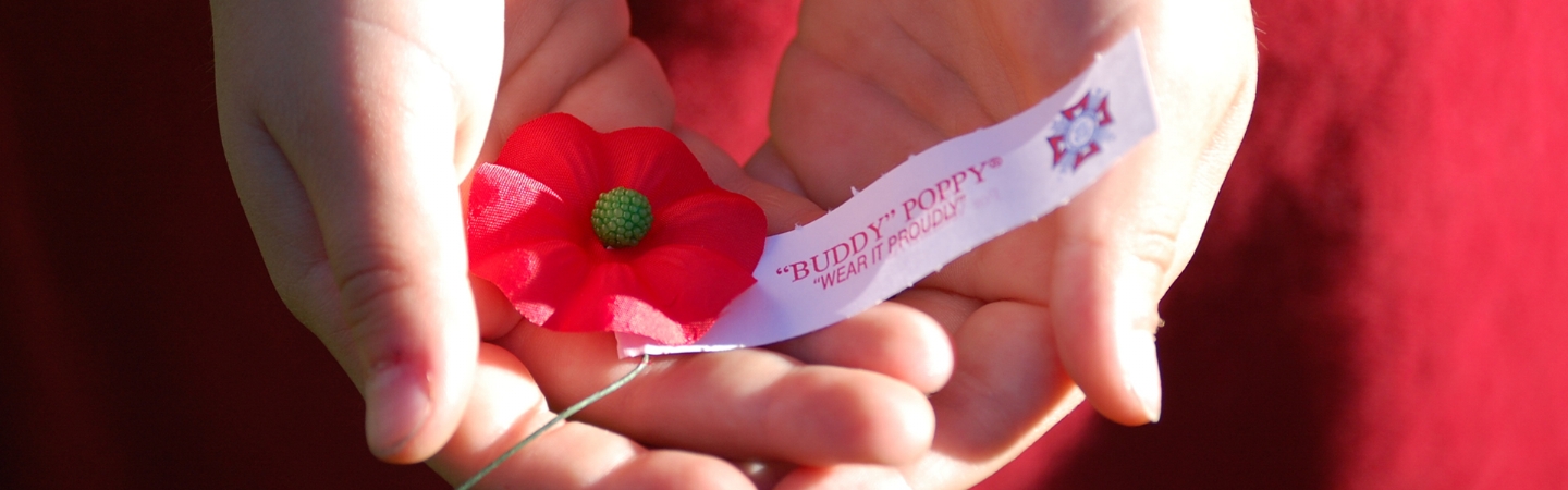 Memorial Day Poppy Drive